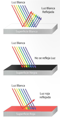 LIBRO-PEDIA Ciencias Naturales - Elbibliote.com