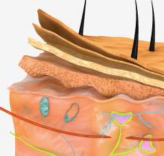 LIBRO-PEDIA Ciencias Naturales - Elbibliote.com