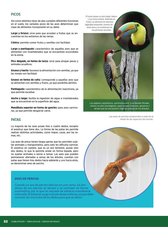 LIBRO-PEDIA Ciencias Naturales - Elbibliote.com