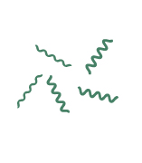 LIBRO-PEDIA Ciencias Naturales - Elbibliote.com