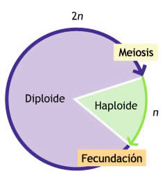 LIBRO-PEDIA Ciencias Naturales - Elbibliote.com