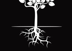 LIBRO-PEDIA Ciencias Naturales - Elbibliote.com