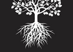 LIBRO-PEDIA Ciencias Naturales - Elbibliote.com