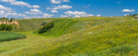 LIBRO-PEDIA Ciencias Naturales - Elbibliote.com