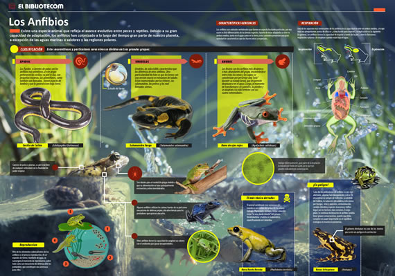 LIBRO-PEDIA Ciencias Naturales - Elbibliote.com