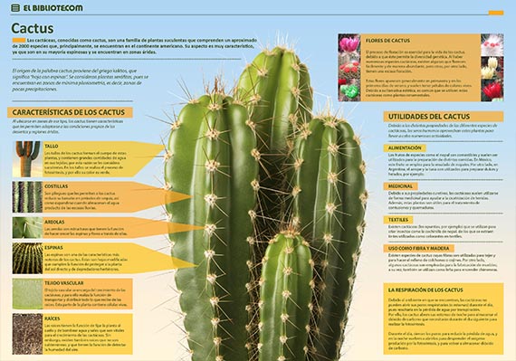 LIBRO-PEDIA Ciencias Naturales - Elbibliote.com