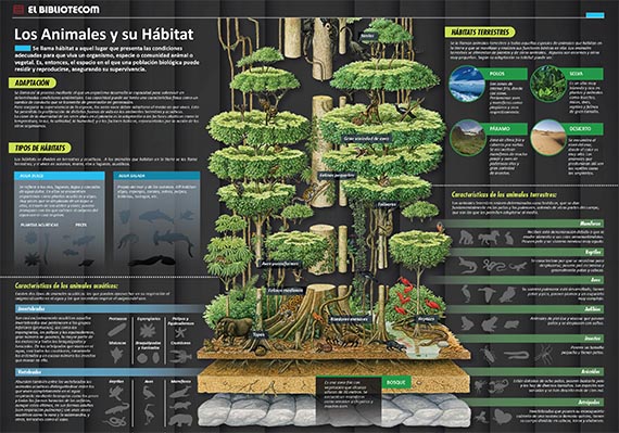 LIBRO-PEDIA Ciencias Naturales - Elbibliote.com