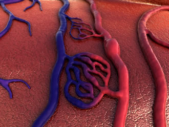 Exclusivo Docentes - Elbibliote.com