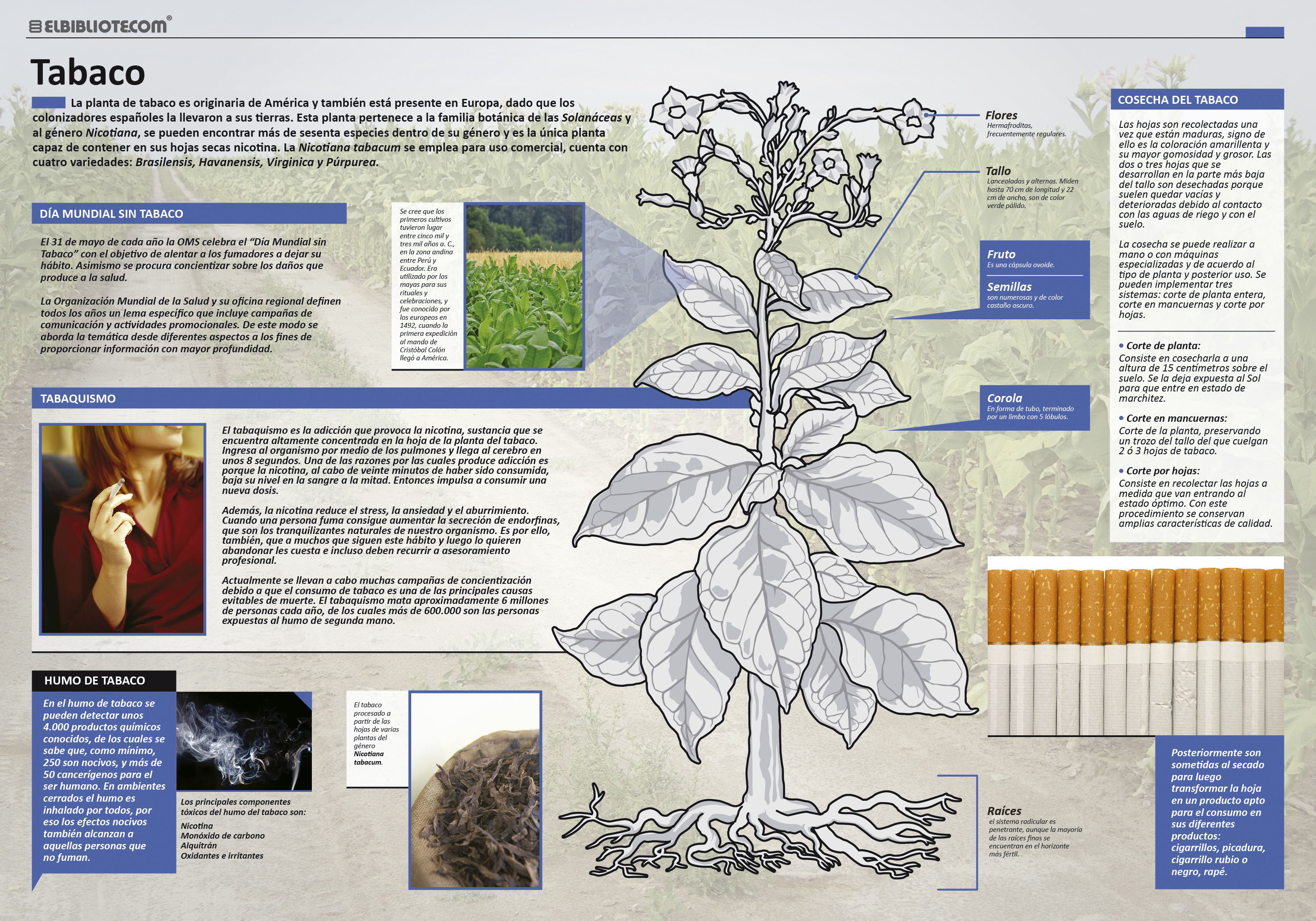 LIBRO-PEDIA Ciencias Naturales - Elbibliote.com