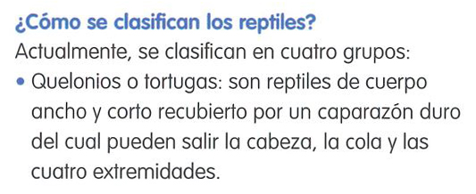 Preguntas y ejercicios - Elbibliote.com