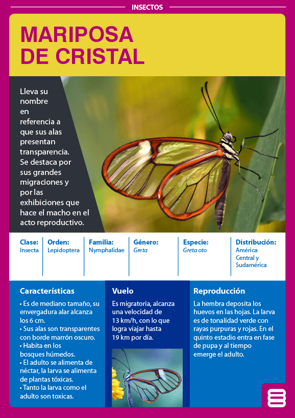 Tarjetas Educativas - Elbibliote.com